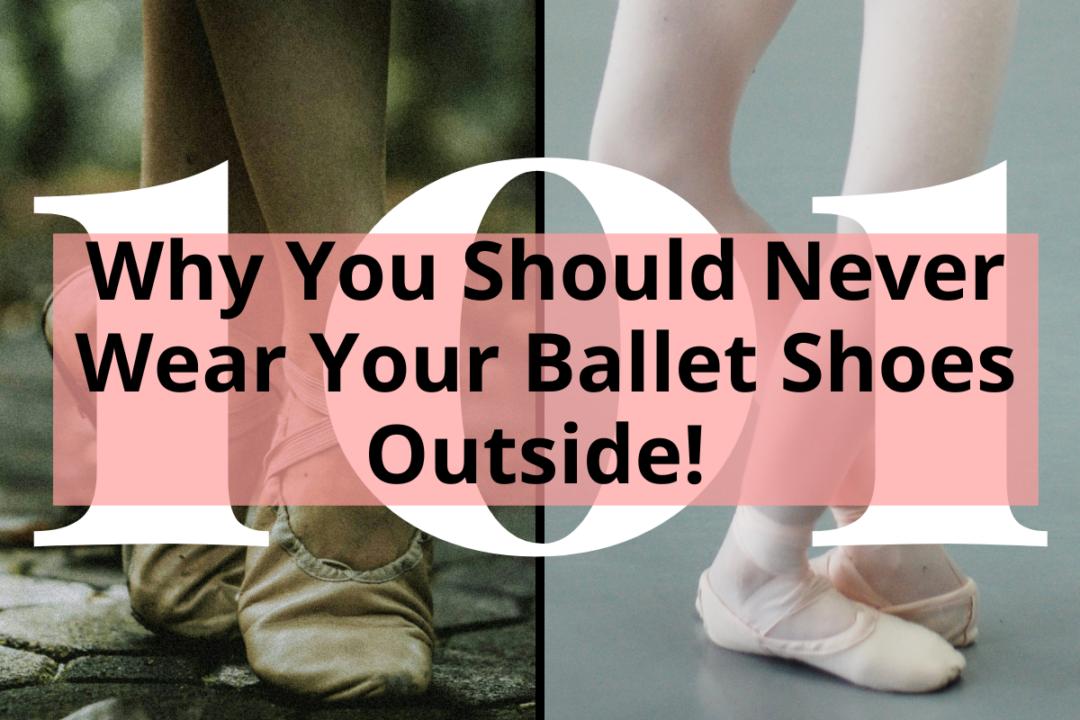 Anatomy of a Flat Ballet Shoe? Labeled Diagram & Glossary!